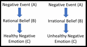 Rational Emotive Behavior Therapy (REBT) Techniques