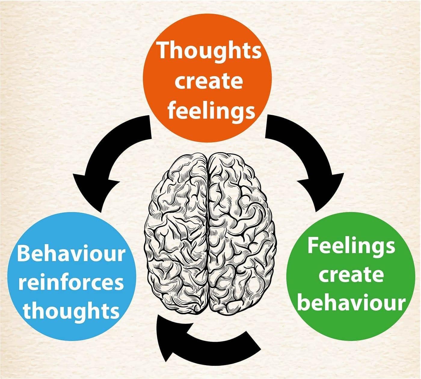Rational Emotive Behavior Therapy (REBT) Techniques
