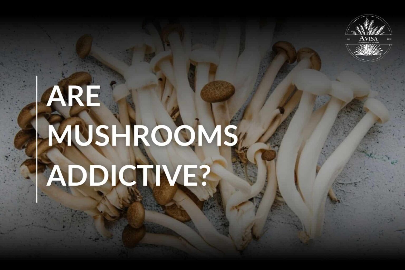 Are Psilocybin “Magic” Mushrooms Addictive?