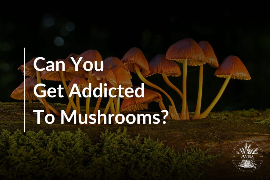 Can You Get Addicted to Mushrooms?