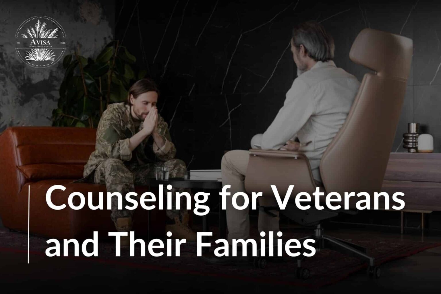 Compassionate Counseling for Veterans and Their Families