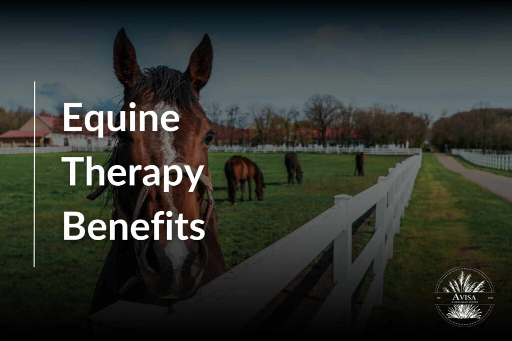 Discover the Benefits of Equine Therapy for Mental Health