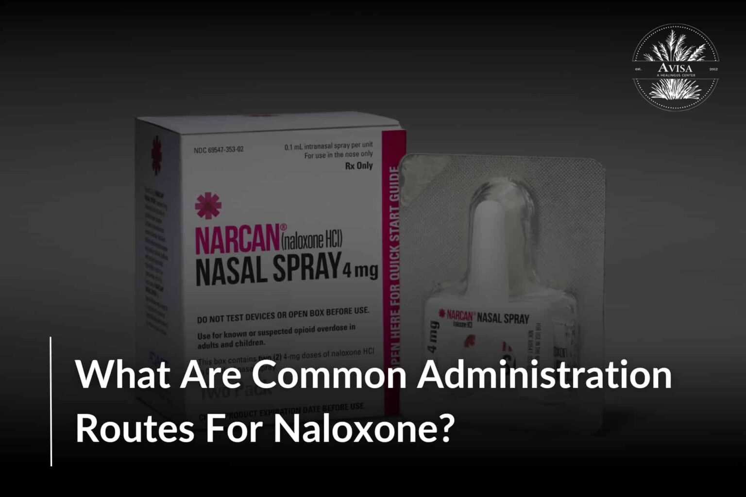 What Are the Common Administration Routes for Naloxone?