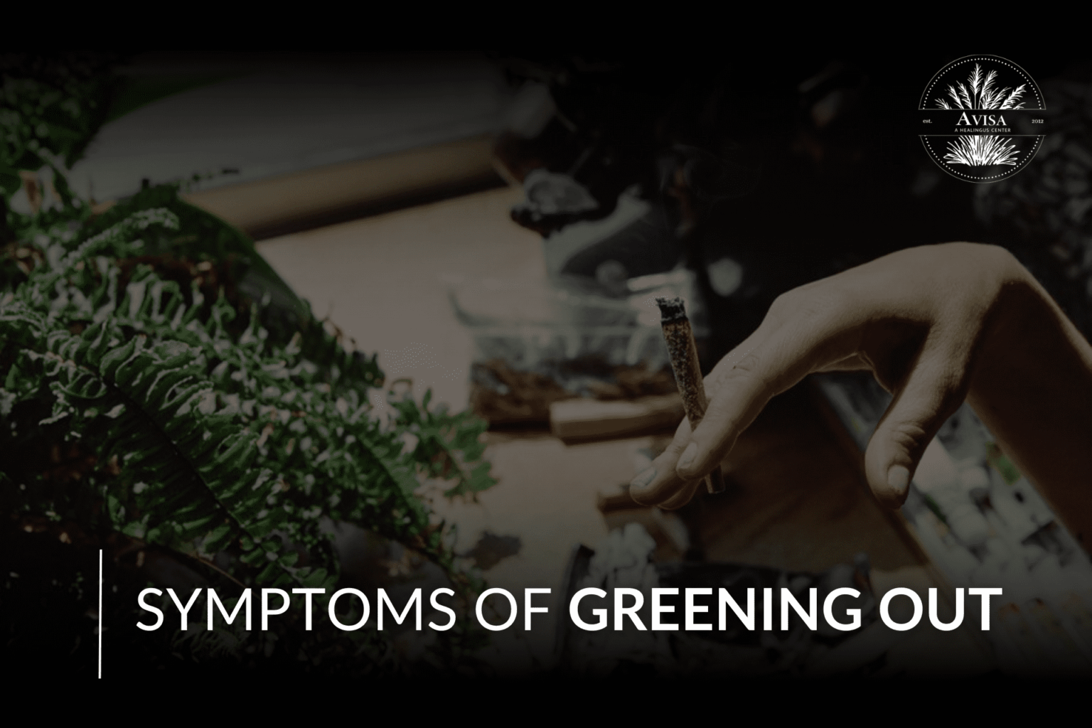 Symptoms of Greening Out: How to Identify Them