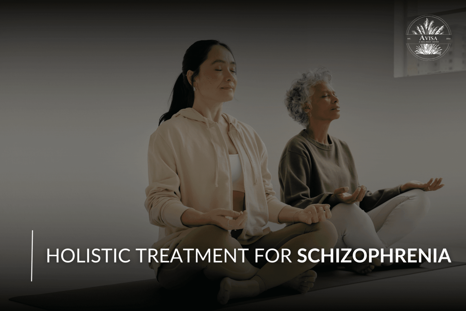 Holistic Treatment for Schizophrenia: A Natural Approach