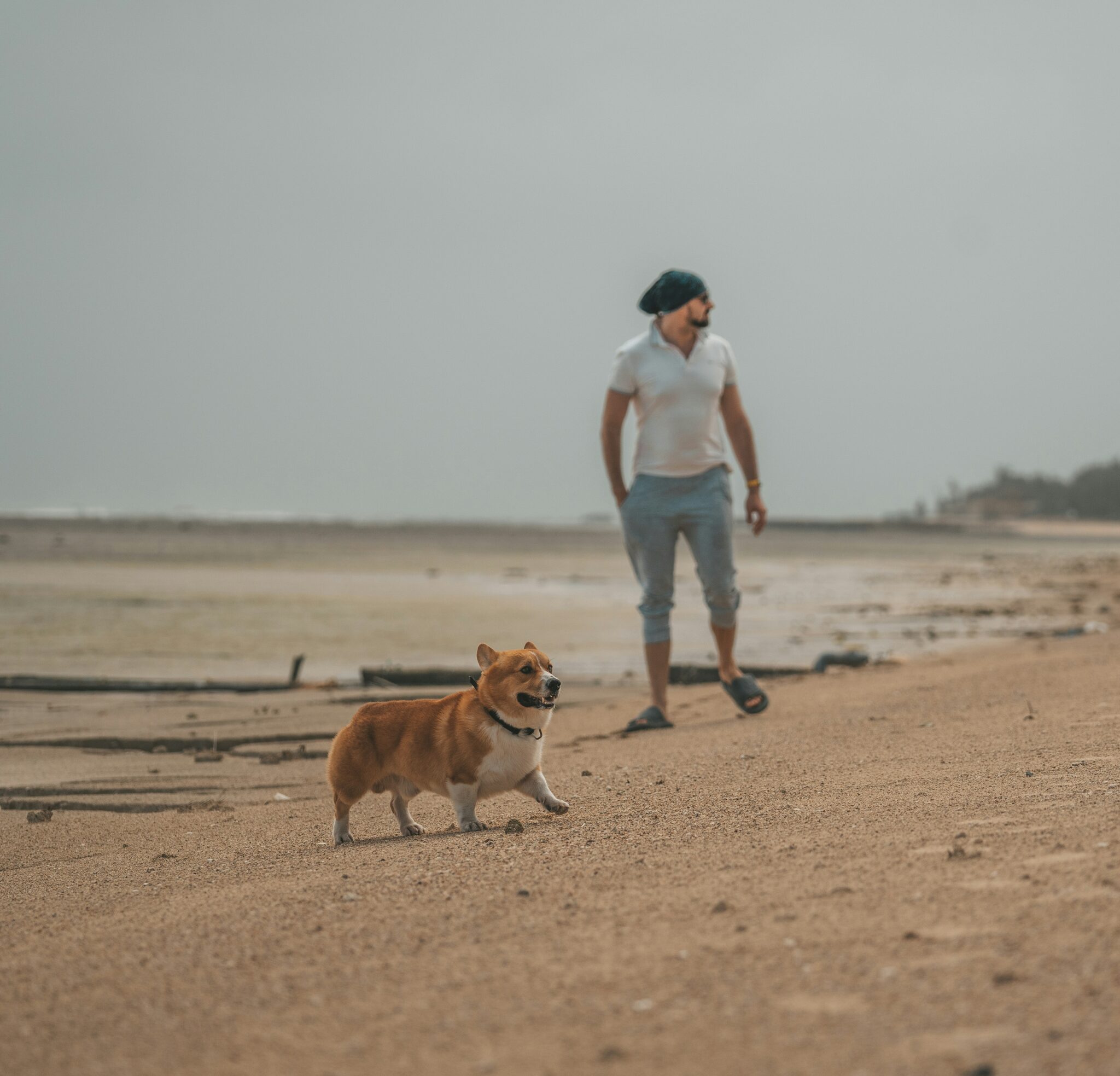 Home - Avisa Recovery